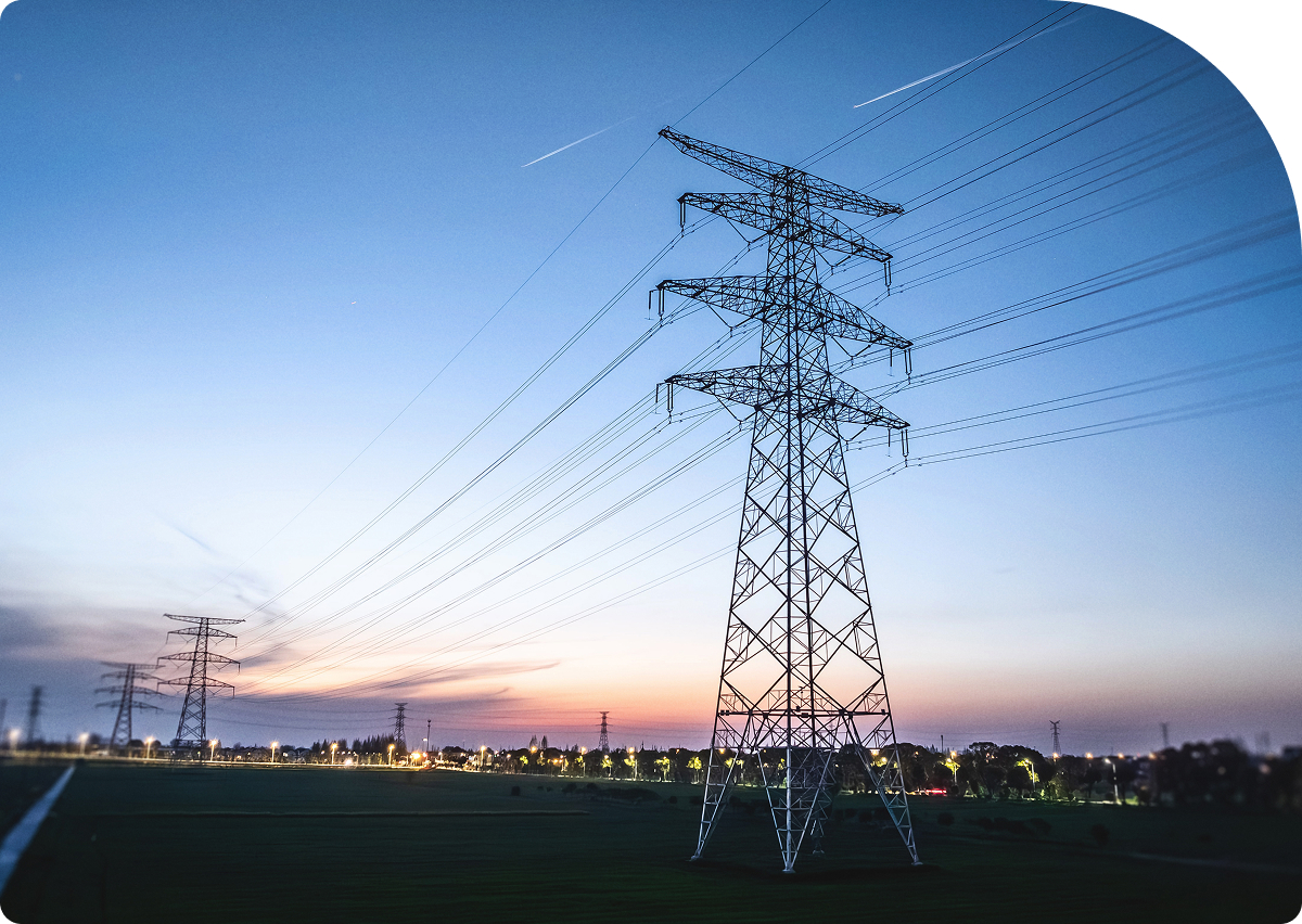 Electric Utility Asset Management Solutions | TRM